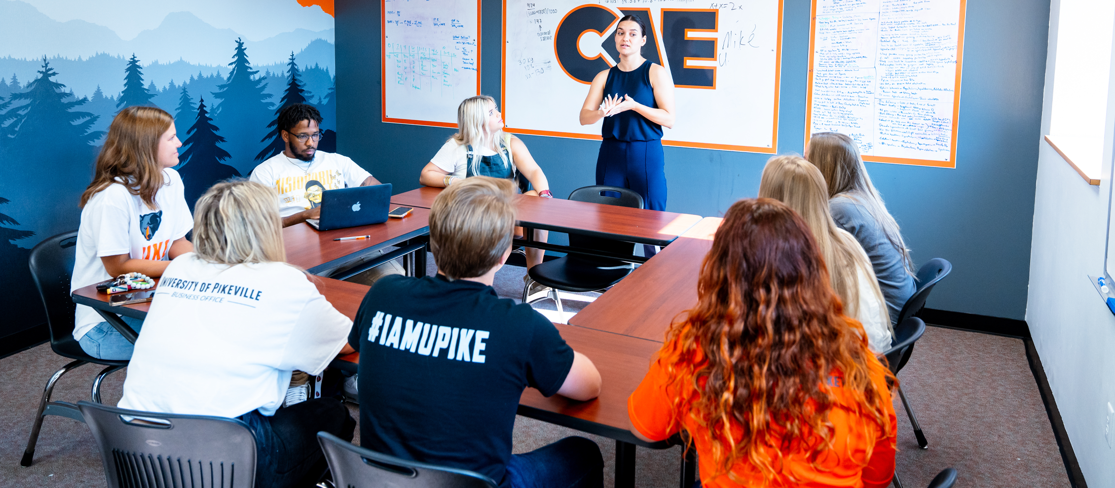 Center for Academic Excellence | UPIKE | University of Pikeville ...